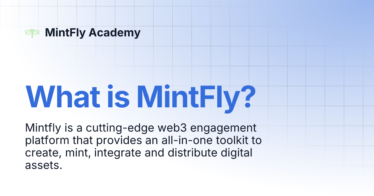 What is MintFly? | MintFly Academy